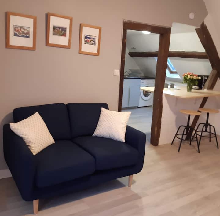 Horizon : Vue Loire, Parking Gratuit - Blois