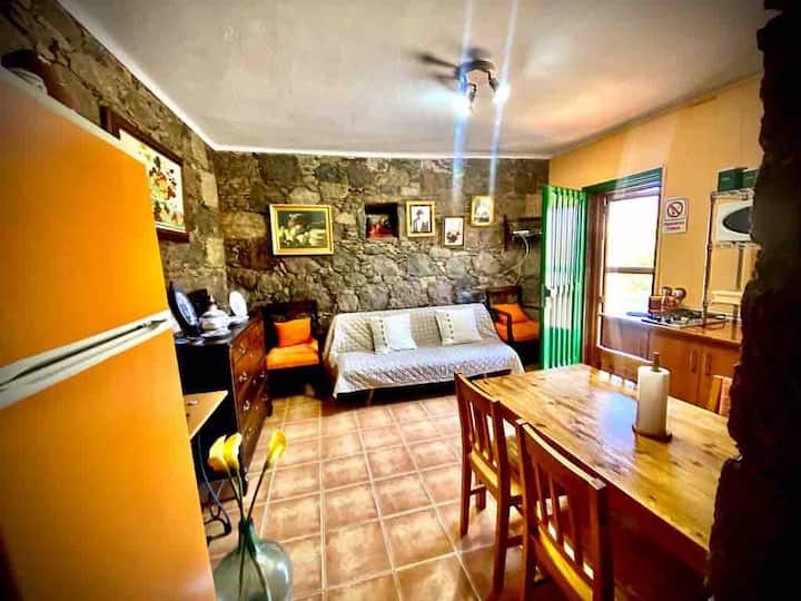 Casa De Piedra De 1910, Con Vistas Mar Y Cumbre - Gran Canaria