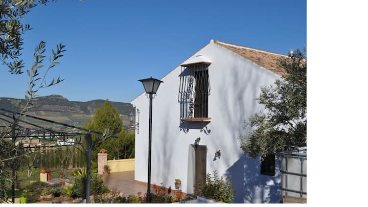 Casa De Campo En Ronda Con Wifi Y Piscina De Sal - Arriate