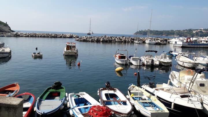 Casa Emiliana - Procida