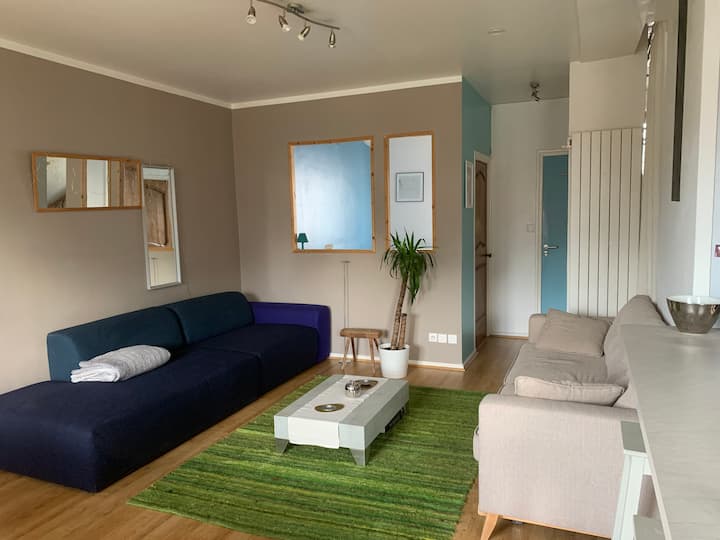 Duplex Tout E
éQuipé Dernier éTage Avec Velo - Grenoble