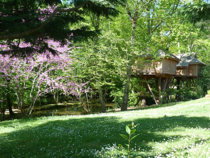 Le Carbet Des Hulottes - Sainte-Eulalie
