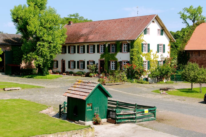 Organic Farm Near Frankfurt 3 - Allemagne