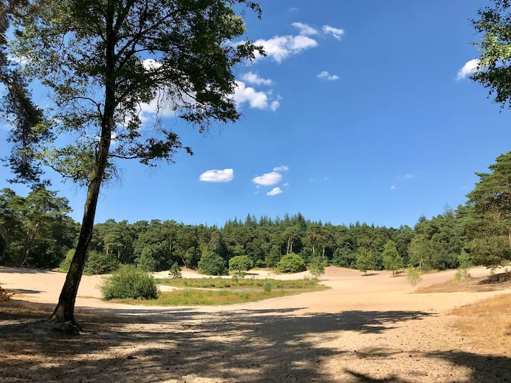 Family Fun In The Forest - Culemborg