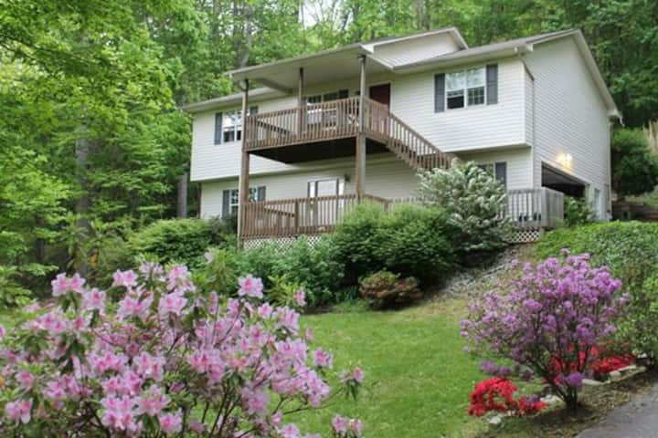 Basement: Mountainside Private Room & Private Bath - Asheville, NC