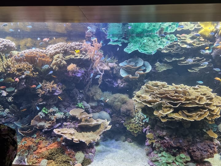 Love Valencia - Valencia