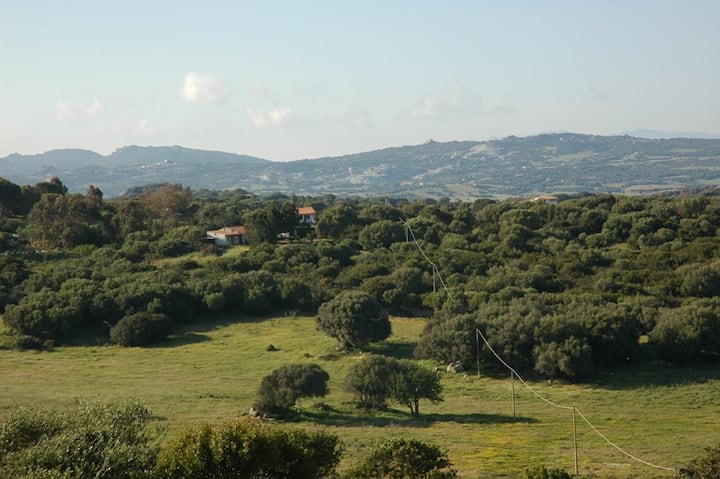 Landhaus Bassacutena - Sardaigne