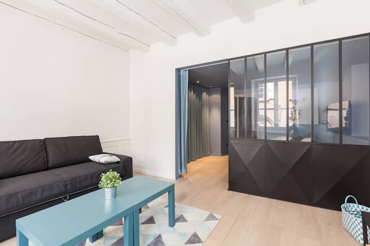 Loft Petite France-hyper Centre Ref: 67482001731a1 - Strasburgo