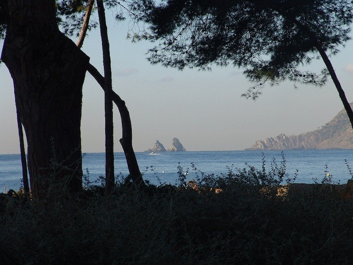 Studio à 100 Mètres De La Plage - La Seyne-sur-Mer