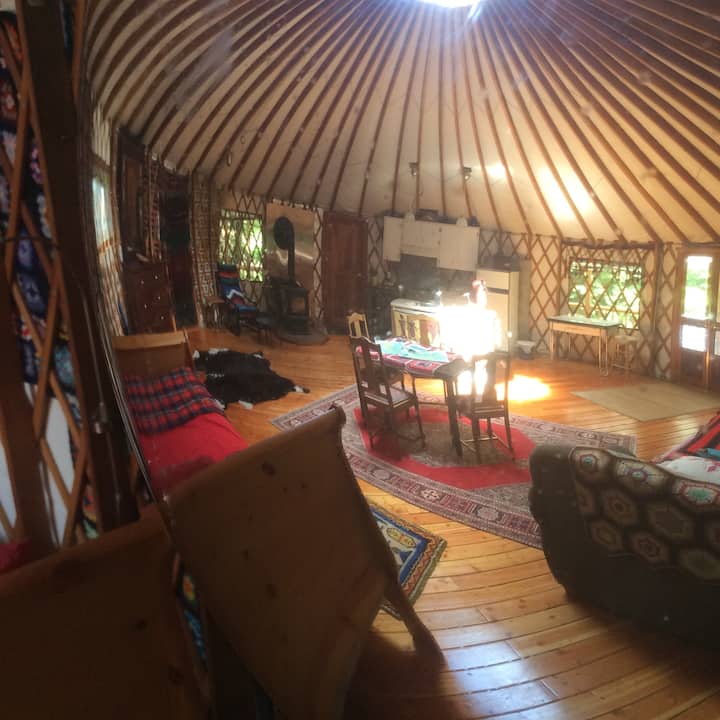 Top 20 Yurts In British Columbia, Canada - Updated 2024 | Trip101