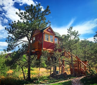 North America Treehouse Vacation Rentals | Airbnb