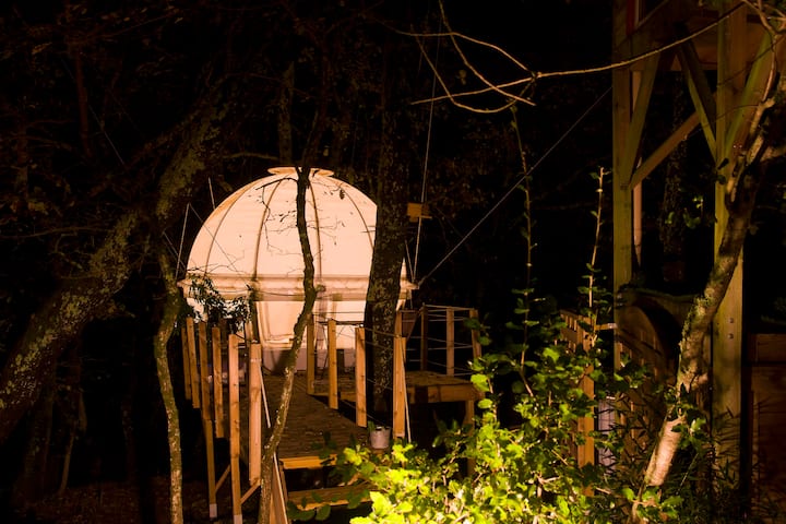 Bulle Cocoon Suspendue Dans Les Arbres En Ardèche - Barjac