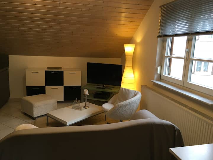 Separates Apartment Im Odenwald Nahe Heidelberg - Hirschhorn (Neckar)