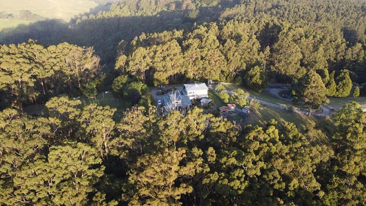 A Loft Amongst The Gum Trees - Great Otway National Park