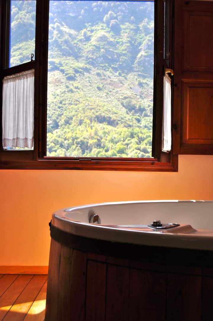 Face à La Montagne,luxury,nature. Axtur - Ponga