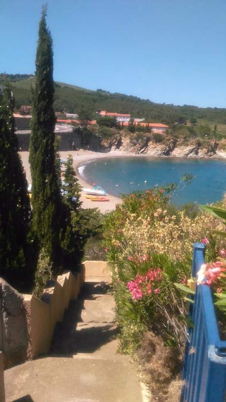 T2 Sur La Plage Des Elmes Avec Grande Terrasse - Banyuls-sur-Mer
