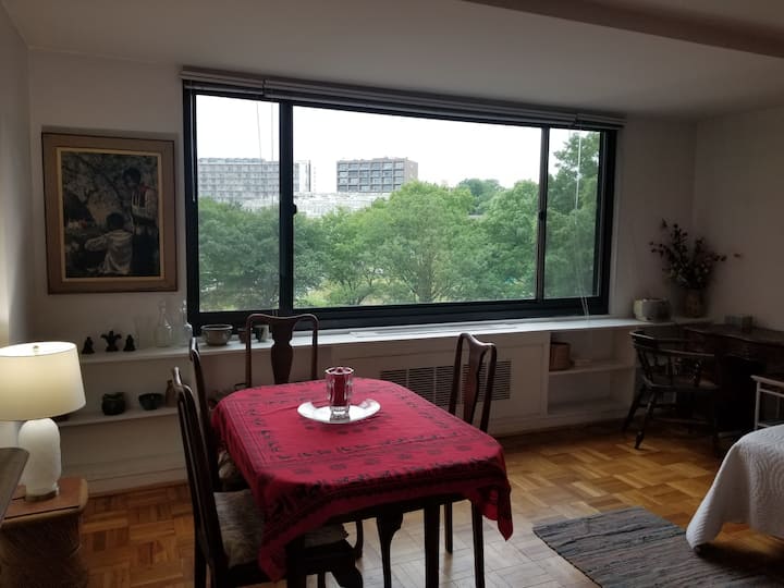 Best Value Studio In One Of The Best Locations - Arlington, VA