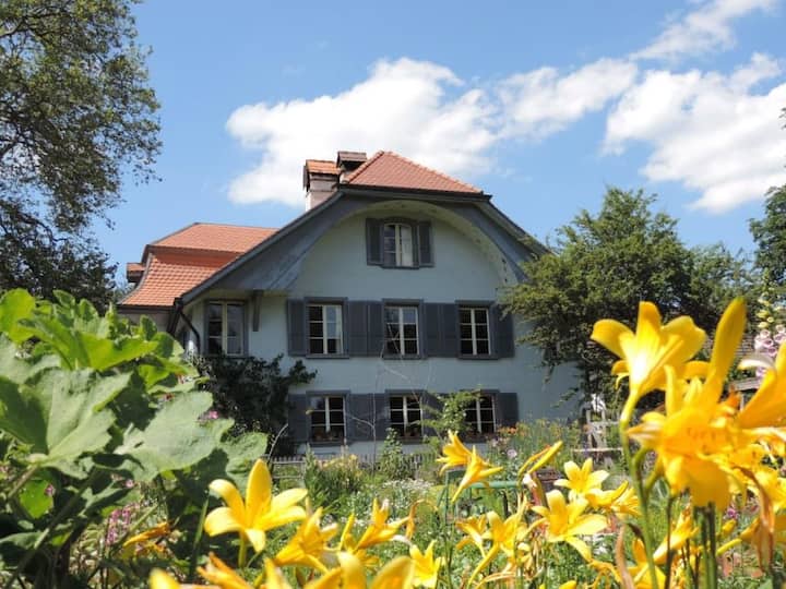 Waldlichtung Ganz Nah Von Bern - Freiburg