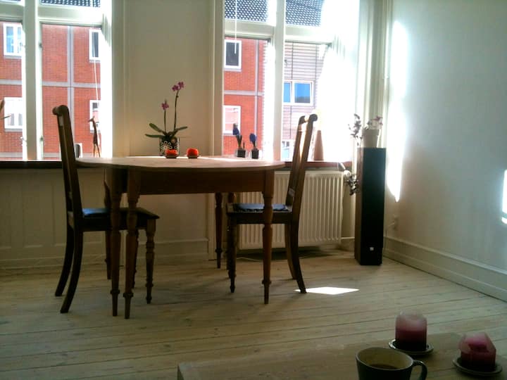 Really Cozy Apartment With 2 Bikes - Copenhague