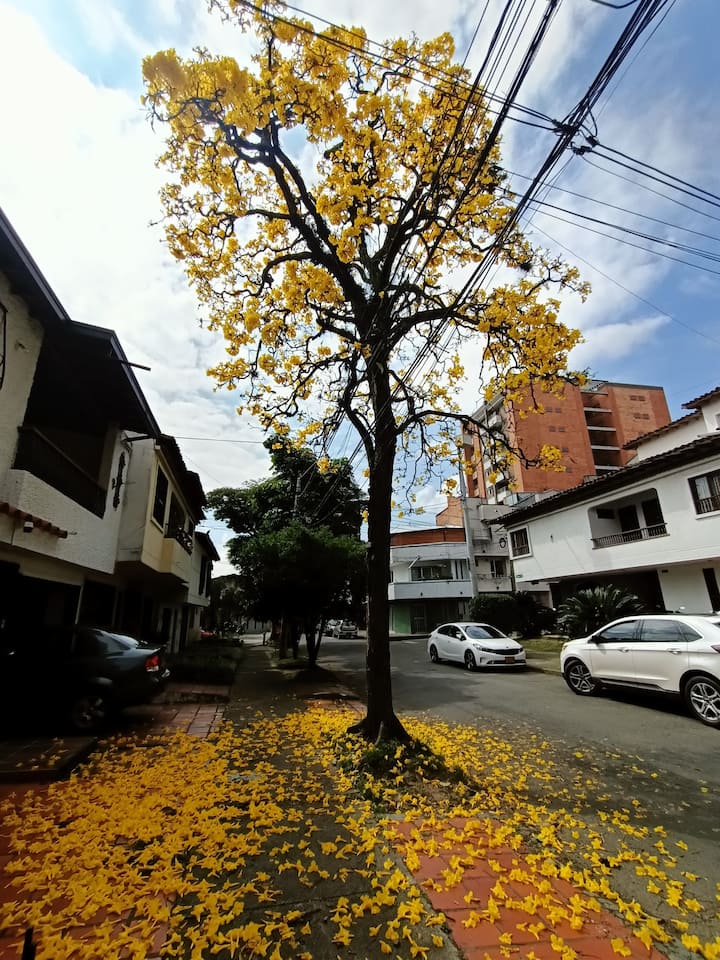 Acogedor Aparta Hotel 6h Terraza Belén Rosales - コロンビー メデジン