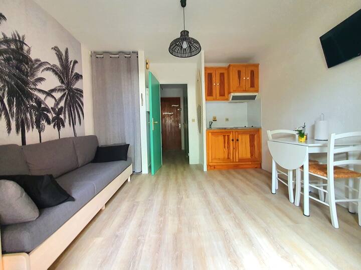 Studio à 50m De L'accès Plage Idéal 4 Personnes - Landas