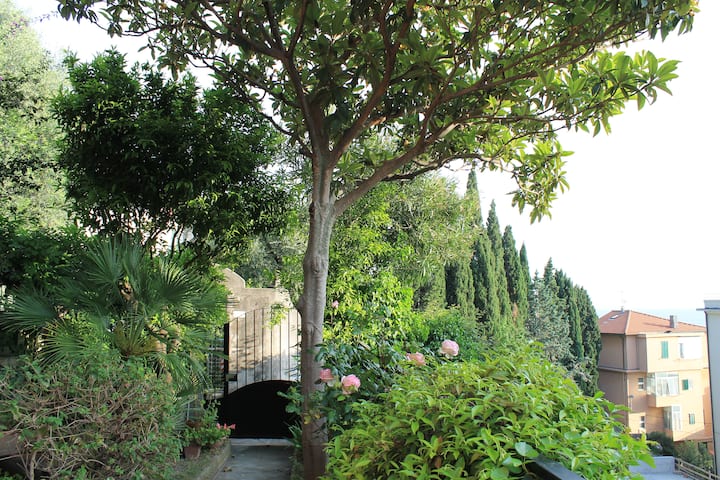 Beautiful Hill & Sea - Noli