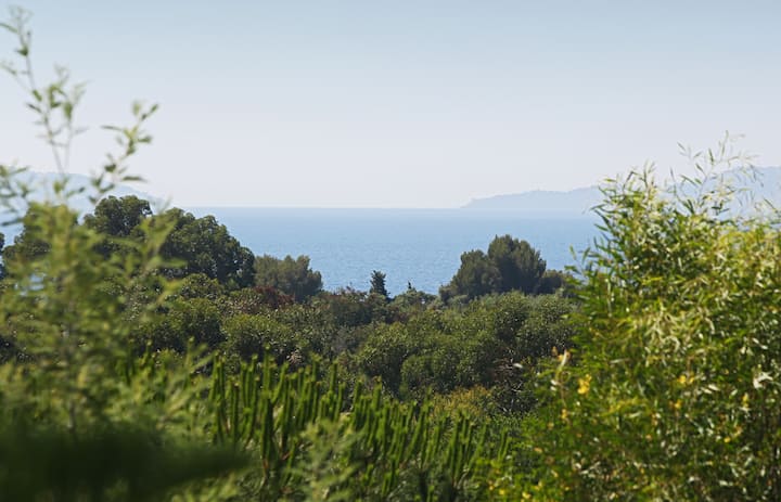 Carpe Diem. Meublé 5 éToiles Avec Petite Vue Mer. - Le Lavandou