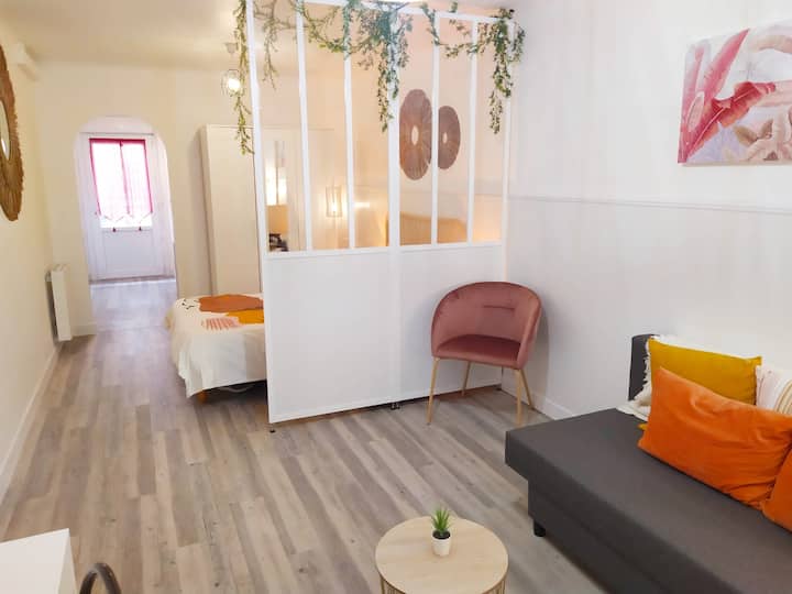Appartement Climatisé Au Cœur De Montpellier - Montpellier
