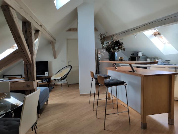 Charmant Duplex Climatisé, Strasbourg Centre - Strasbourg