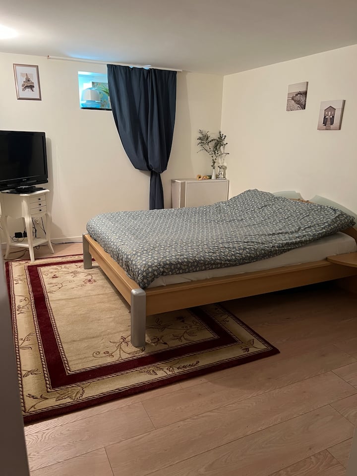 Agréable Studio En Sous Sol Aménagé - Haguenau