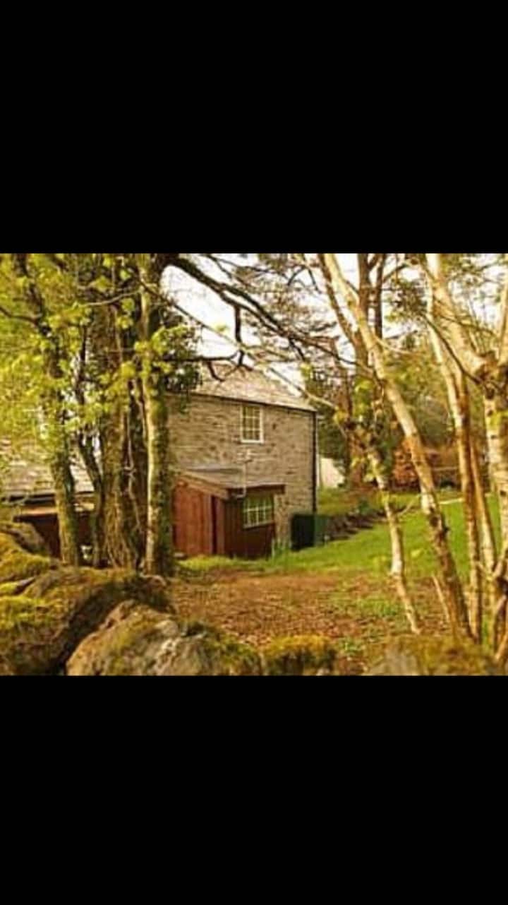 Cottage In A Peaceful Location - Tavistock