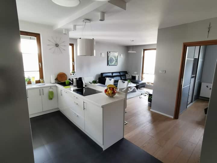 Kamienice Wandy Apartment/4 Person Private Parking - Krakow