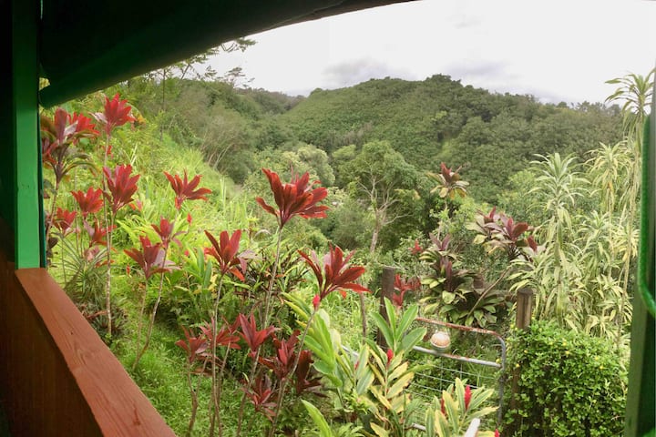 Aloha Nature Lovers - Cabins for Rent in Pāpa‘aloa, Hawaii, United ...