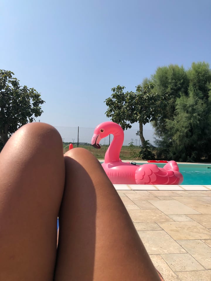 Tra Mare E Tradizione, Vacanza Antistress!!! - Follonica