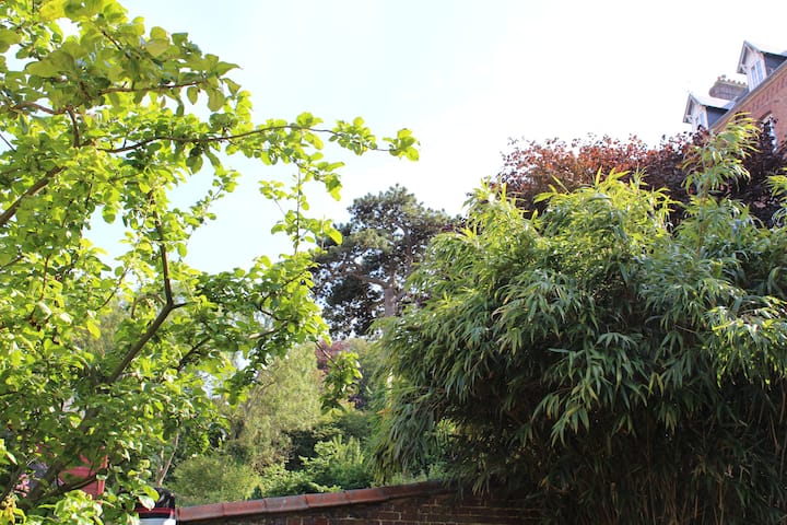Dieppe, Maison De Ville Avec Jardin Clos - Dieppe