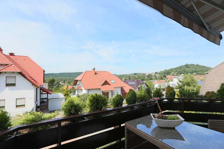 Spacious Apartment On The Edge Of The Forest - Dahn