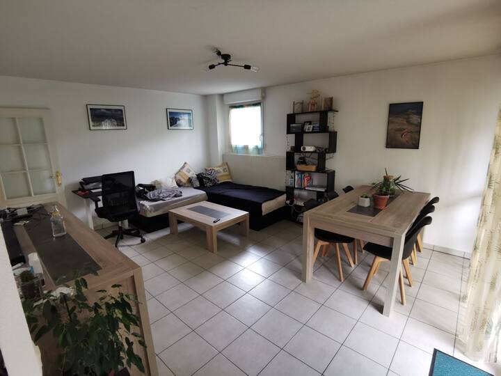 Chambre Dans Joli Rez-de-jardin - Bonneville