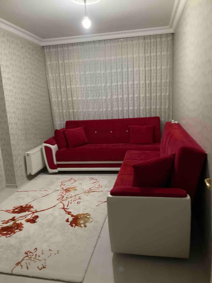 Ankara Türk Evi - Ankara
