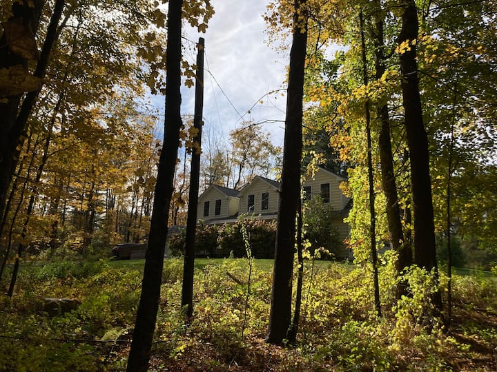 Cozy Escape In The Trees Of The Berkshires - Monterey, MA
