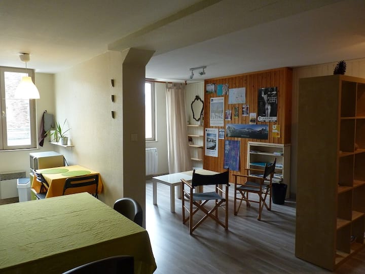 Grand Studio, Cuisine Séparée, En Plein Centre - Besançon