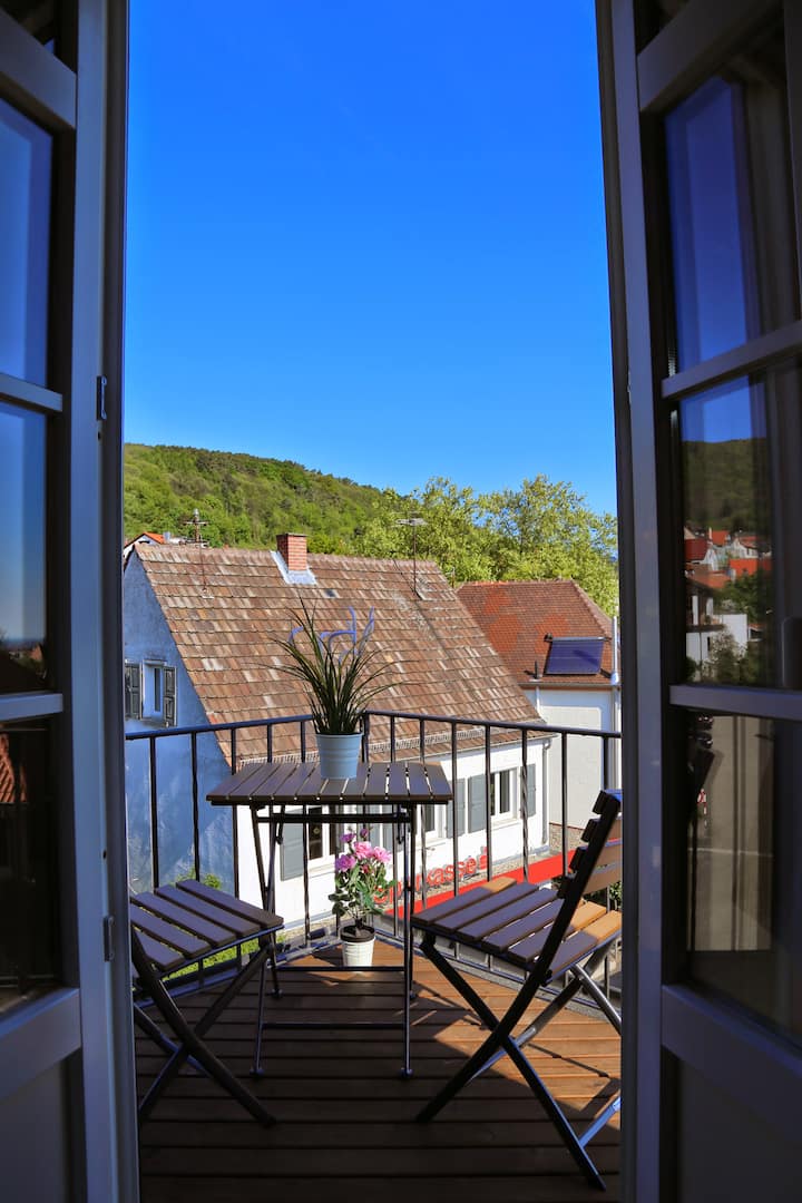 Ferien Im Ehemaligem Weingut - Neustadt an der Weinstraße