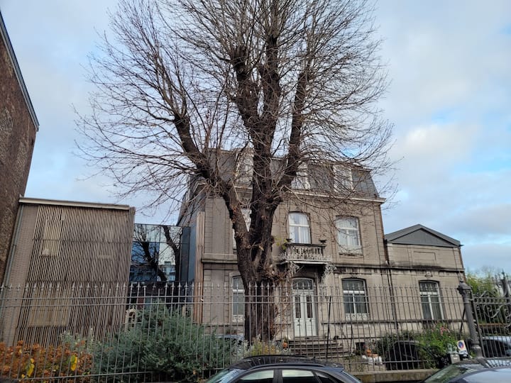 Appartement Links Boven - Liège