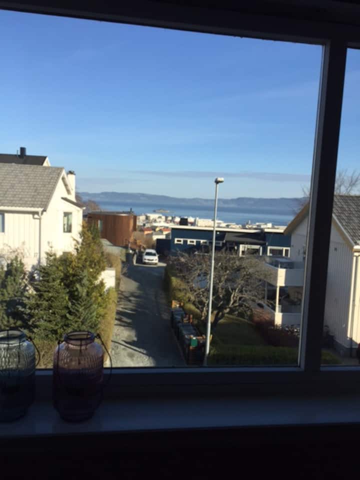 Romslig Leilighet På Rosenborg - Trondheim