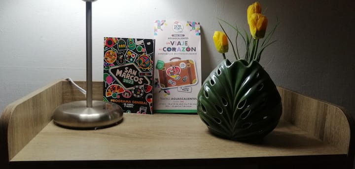 Departamento Céntrico. Se Factura. - Aguascalientes