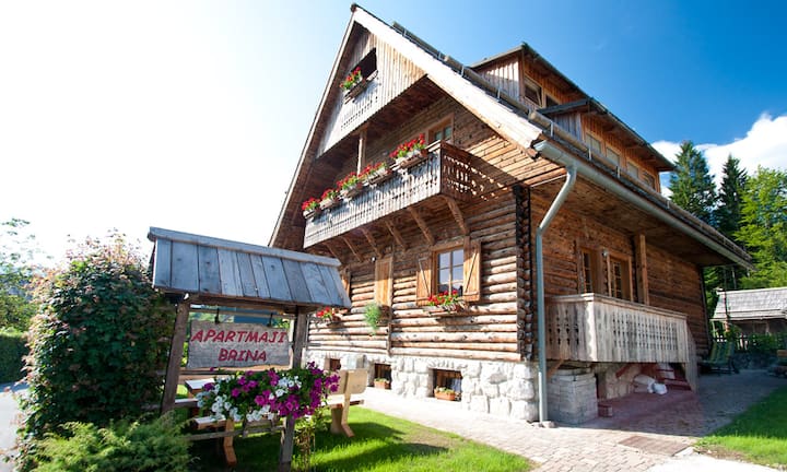 Apartment Brina, One Bedroom Apartment, Bohinj - Stara Fužina