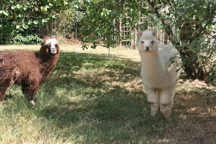 Une Chambre A La Campagne - Clisson