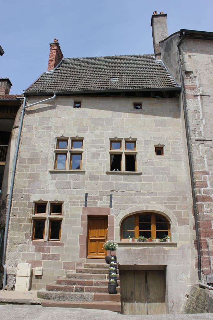 One Of A Kind 15th Century Renaissance Town House - Luxeuil-les-Bains