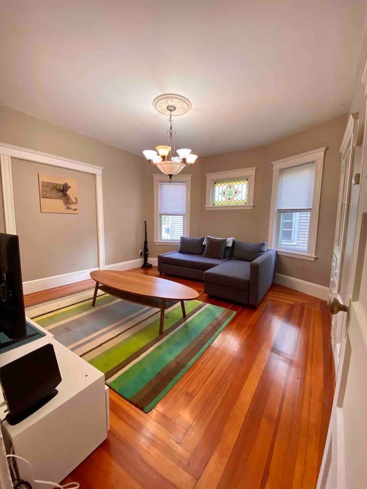 A Minute Walk From The Red Line (Shawmut) Room 3 - Boston, MA