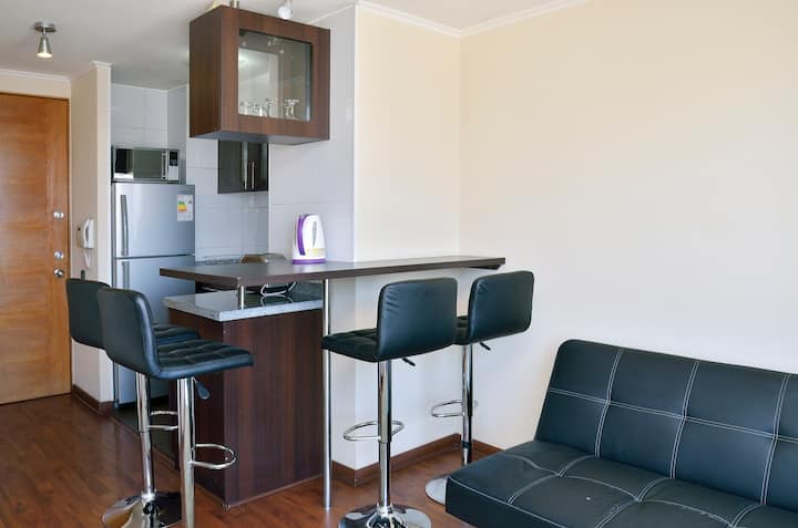 Departamento Amoblado En Barrio Bellas Artes - Santiago