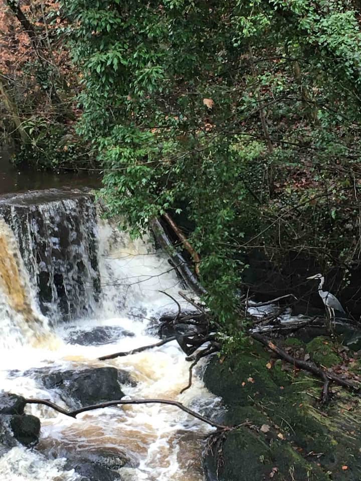The Sisters At The Old Sawmill - Skipton
